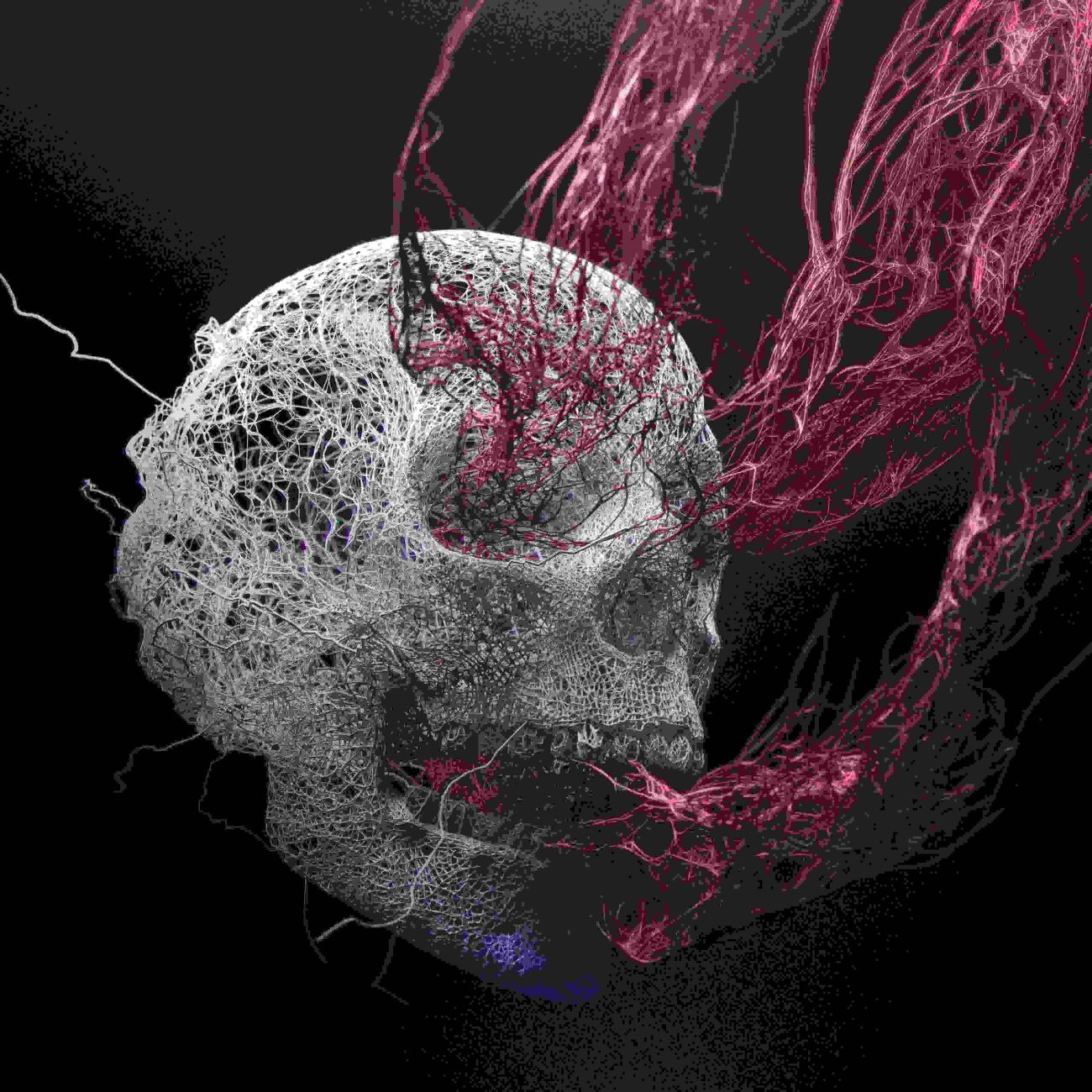 What is the best Houdini Octane render farm in 2025? - Review Render Farms