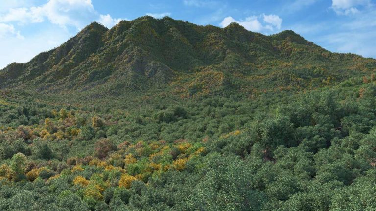 6 Best Plugins for Cinema 4D in 2026 - Ranking cloud render farm ...